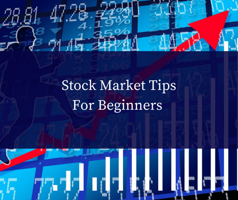 Stock Market Tips For Beginners - Dinks Finance