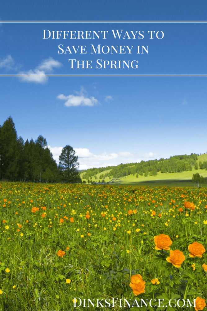 Different Ways to Save Money in the Spring - Dinks Finance