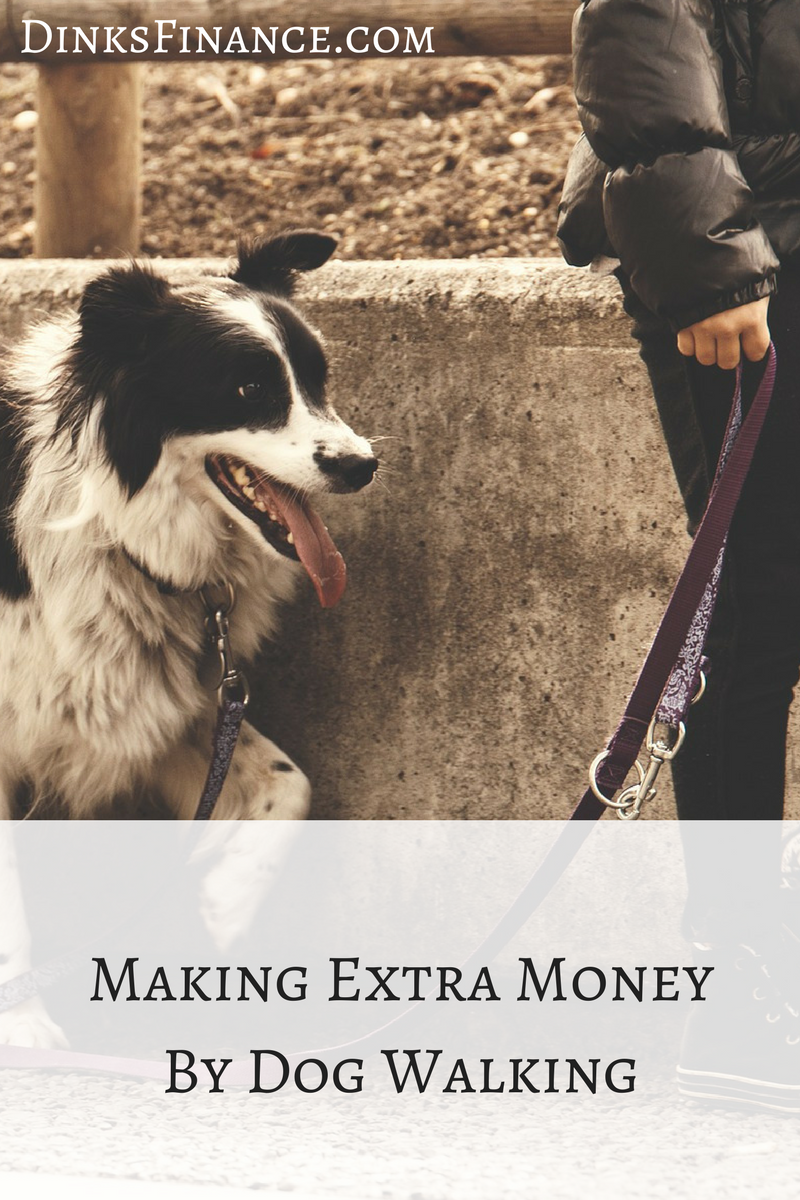 Making Extra Money By Dog Walking - Dinks Finance