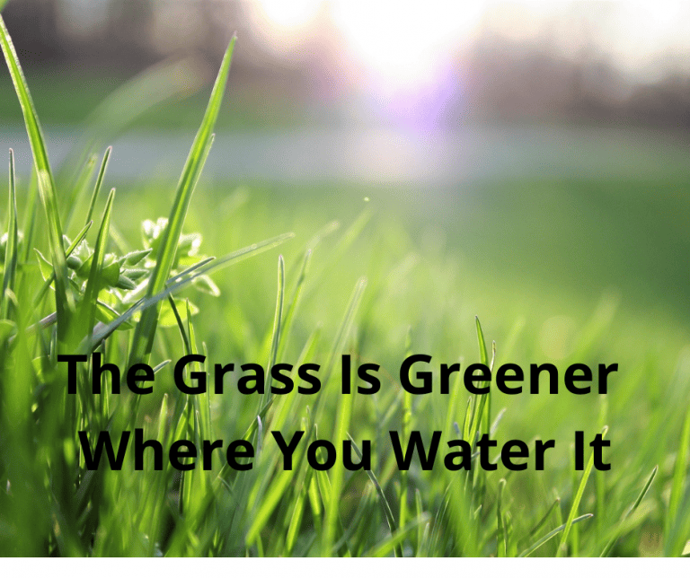 The Grass Is Greener Where You Water It - Dinks Finance