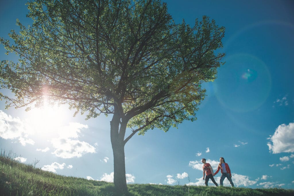 14 Surprising Effects of Climate Change on Everyday Life - Dinks Finance