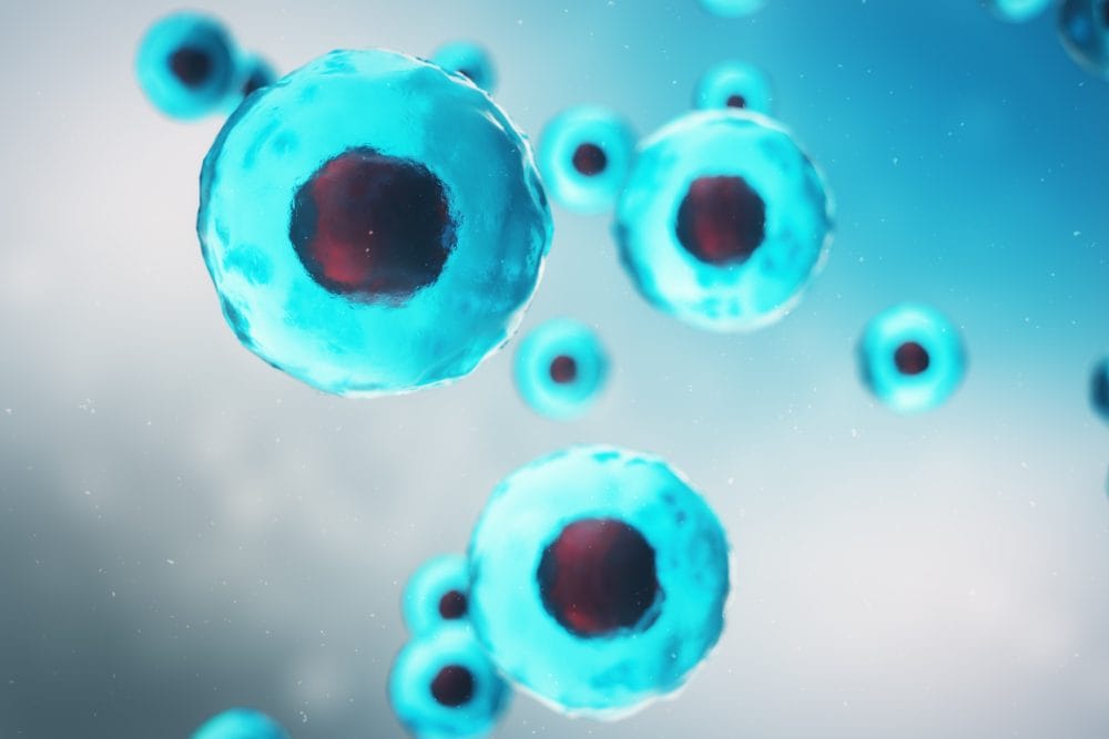 12 Strange Things That Happen To The Human Body After You Die